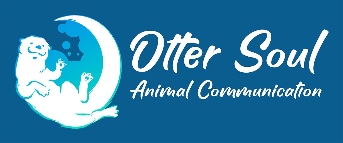 Otter Soul Animal Communication